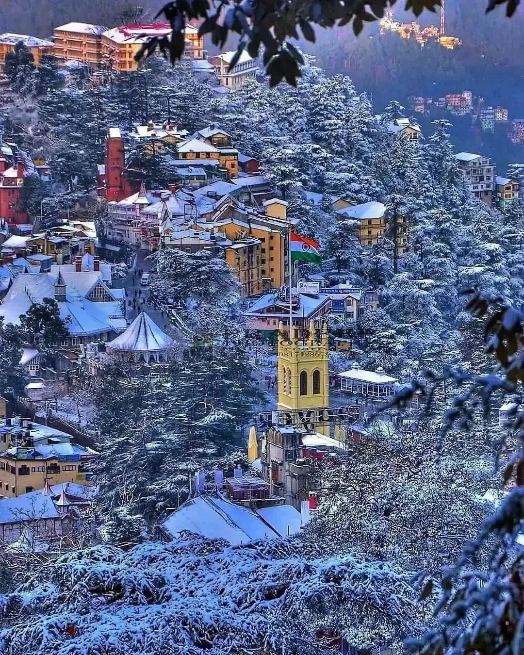 Visit Shimla in Winter: An Adventure, Serenity, and Beauty All-In-One ...